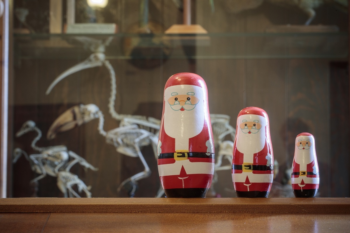 Searching for Santa is Free Festive Family Fun | Canterbury Museum
