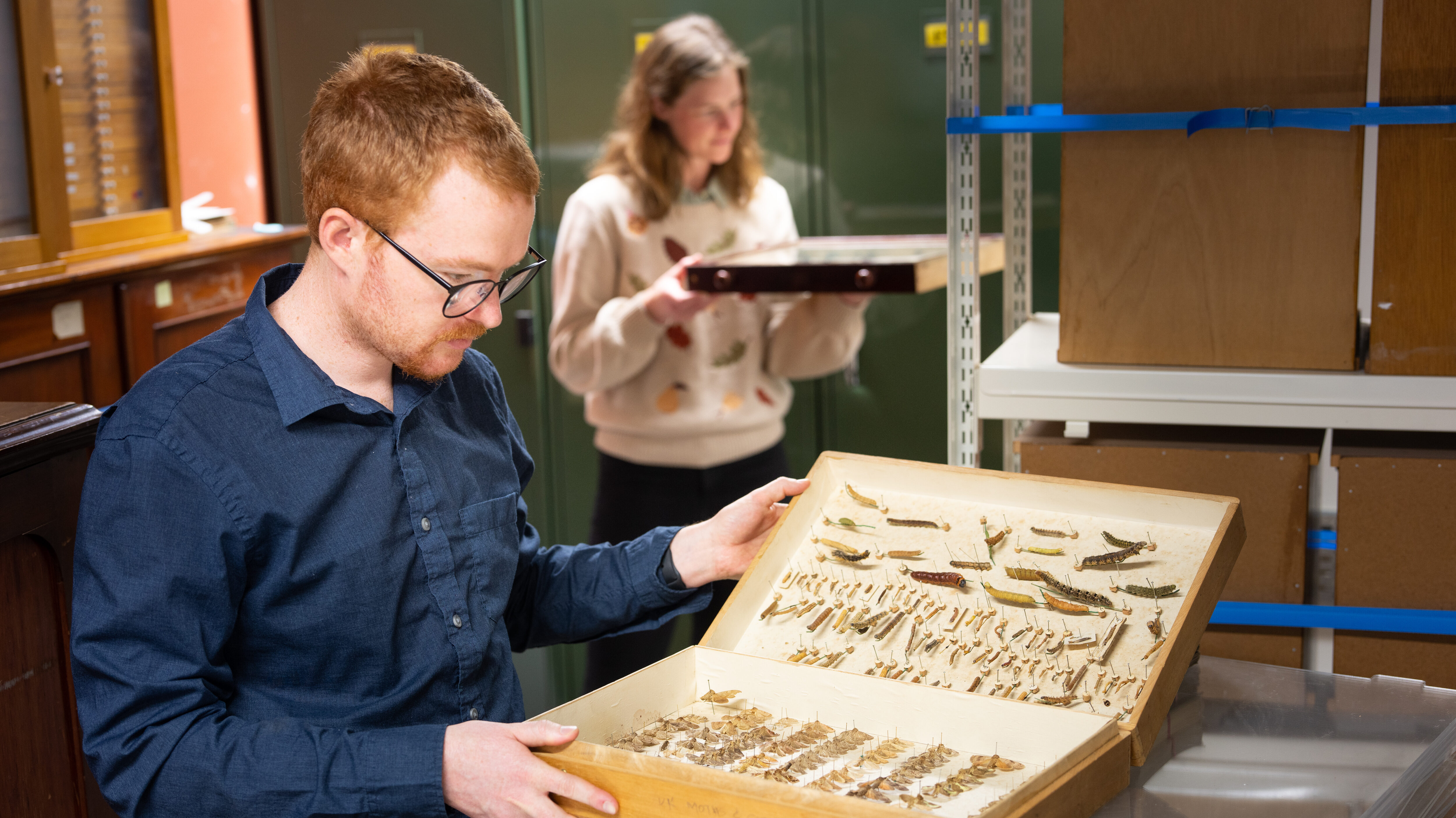Insect Curator Talks | Canterbury Museum