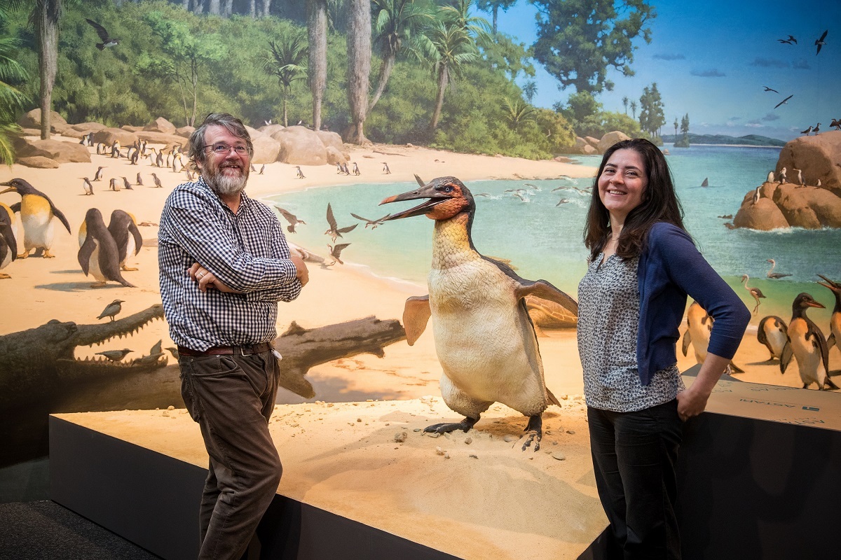 Meet life-size models of Squawkzilla and… | Canterbury Museum