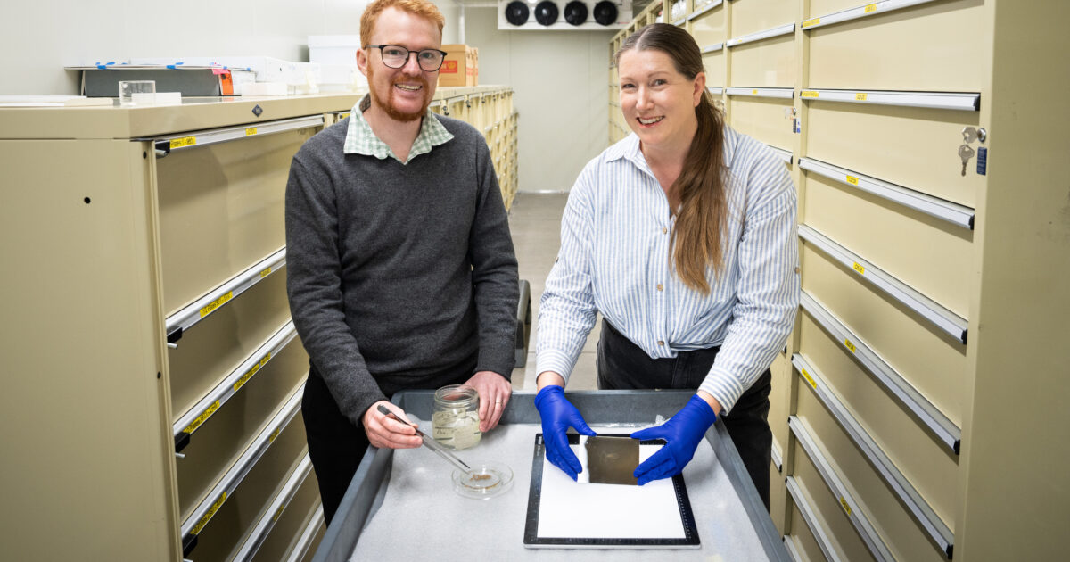 X-Ray Mystery Solved | Canterbury Museum