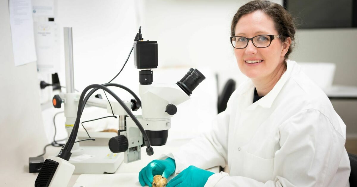 Emily Fryer Conservator | Canterbury Museum