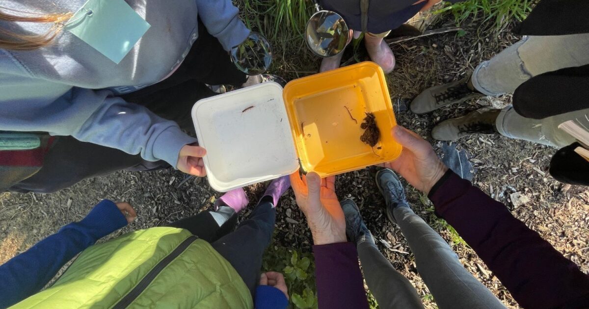 Insects Matter | Canterbury Museum